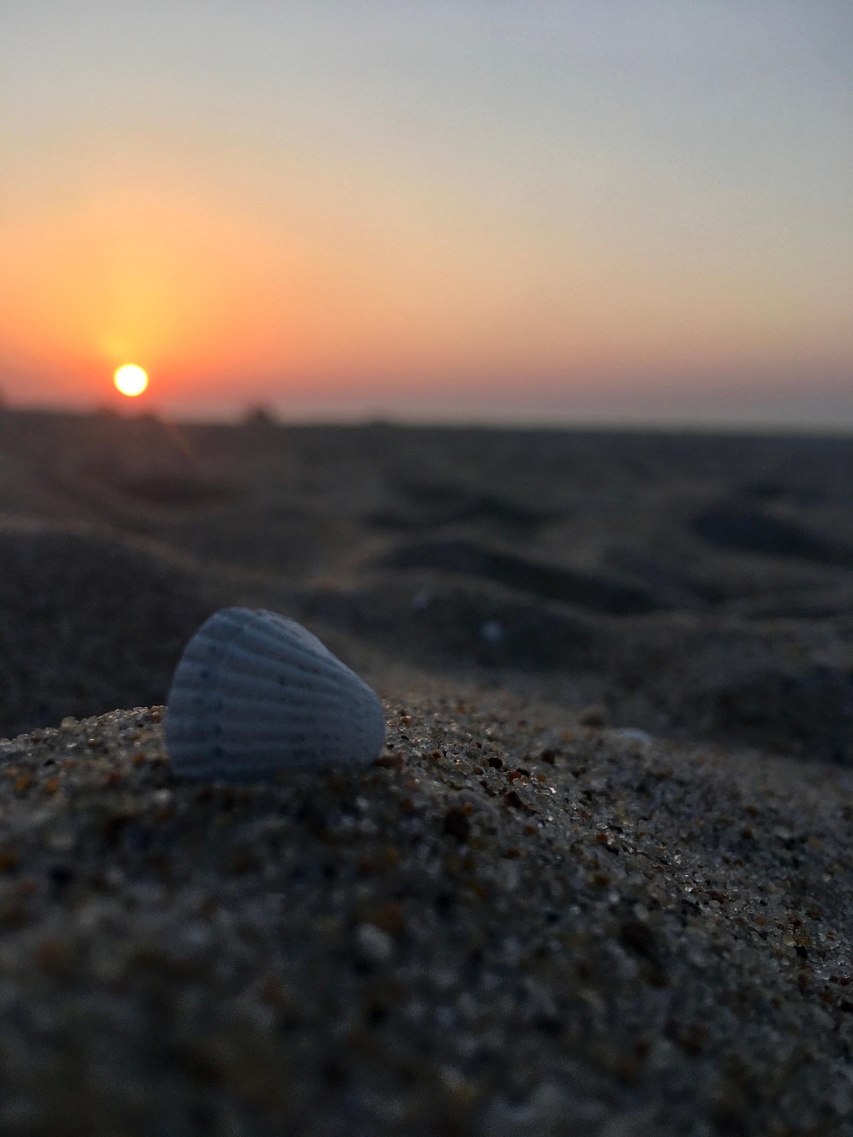 Plage Mer Coquille - Photo gratuite sur Pixabay - Pixabay