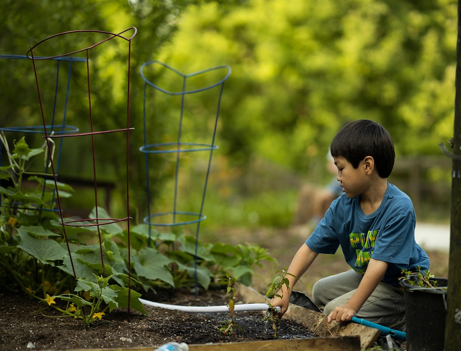 Child Little Boy Gardening - Free photo on Pixabay