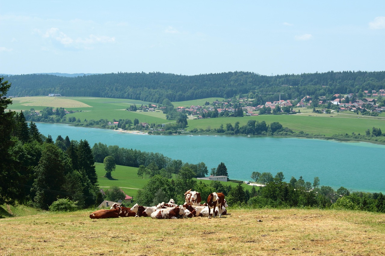 Paisagem Natureza Pradaria - Foto gratuita no Pixabay - Pixabay