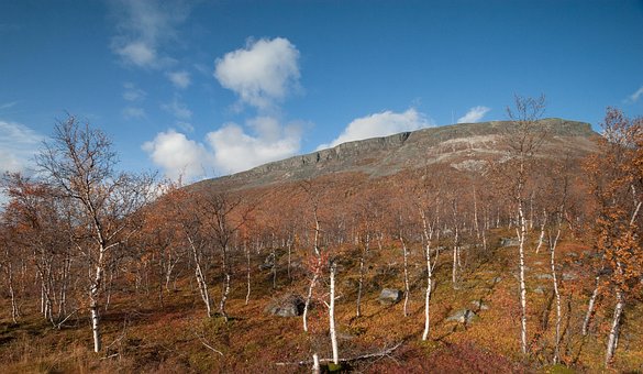 4+ Free Saana & Finland Images - Pixabay