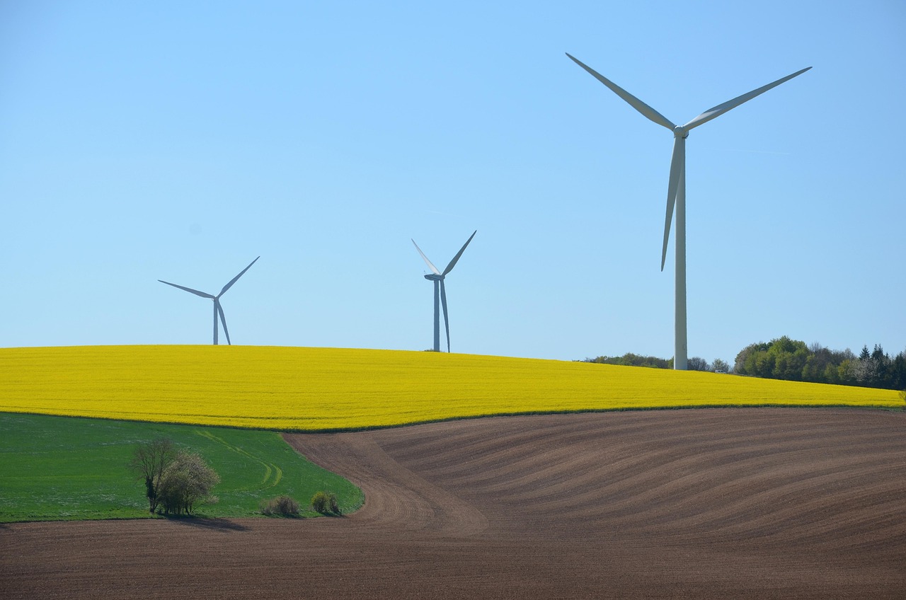 50,000+ Free Wind Farm & Farm Images - Pixabay