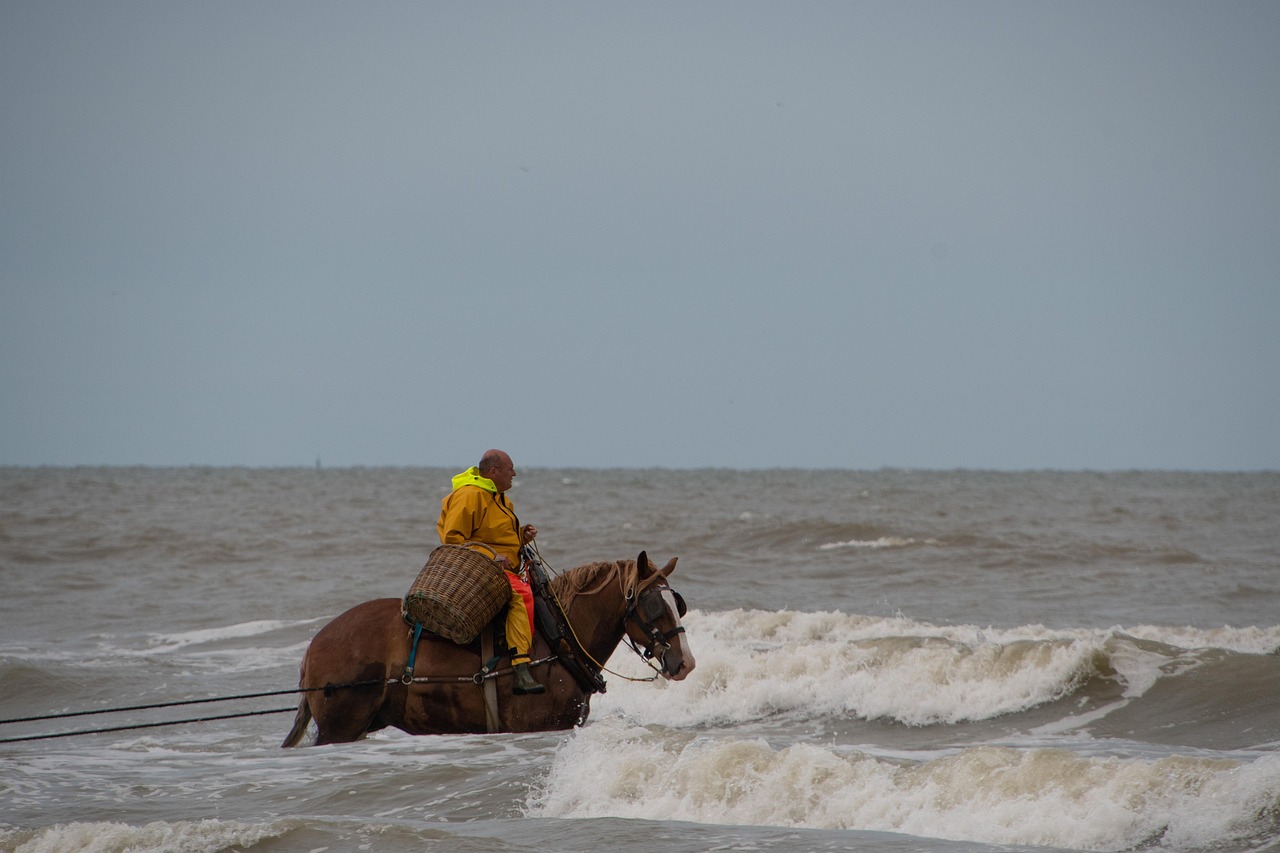 Horse Draft Shrimp Fish - Free photo on Pixabay - Pixabay