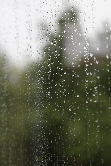 雨 飞沫 窗户 - Pixabay上的免费照片