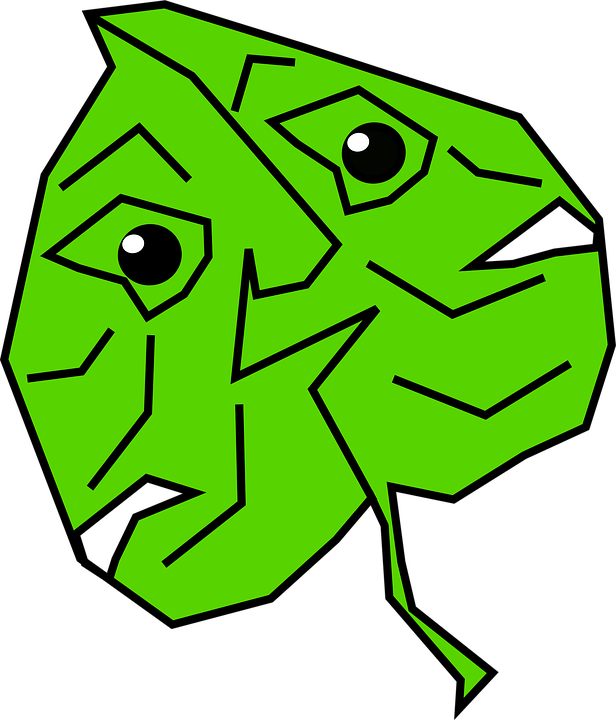 Download Leaf, Face, Green. Royalty-Free Vector Graphic - Pixabay