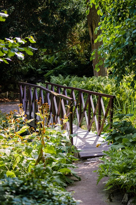 Bridge Nature Landscape - Free photo on Pixabay - Pixabay