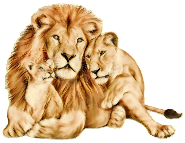 Más de 80 000 imágenes gratis de Leon Leona Y Cachorro y León - Pixabay