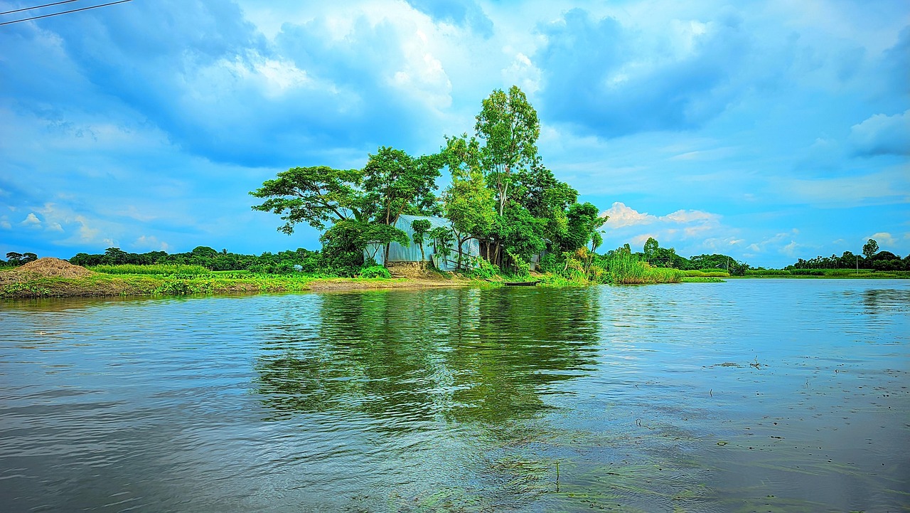 Village Gram Bangladesh - Free photo on Pixabay - Pixabay