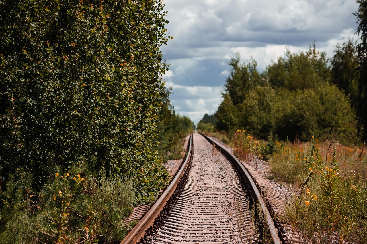 Ferrovia Estrada De Ferro Arvores - Foto gratuita no Pixabay - Pixabay