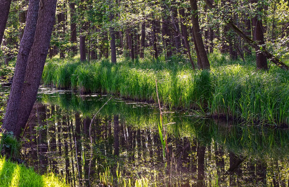 River Water Beach Free Photo On Pixabay Pixabay
