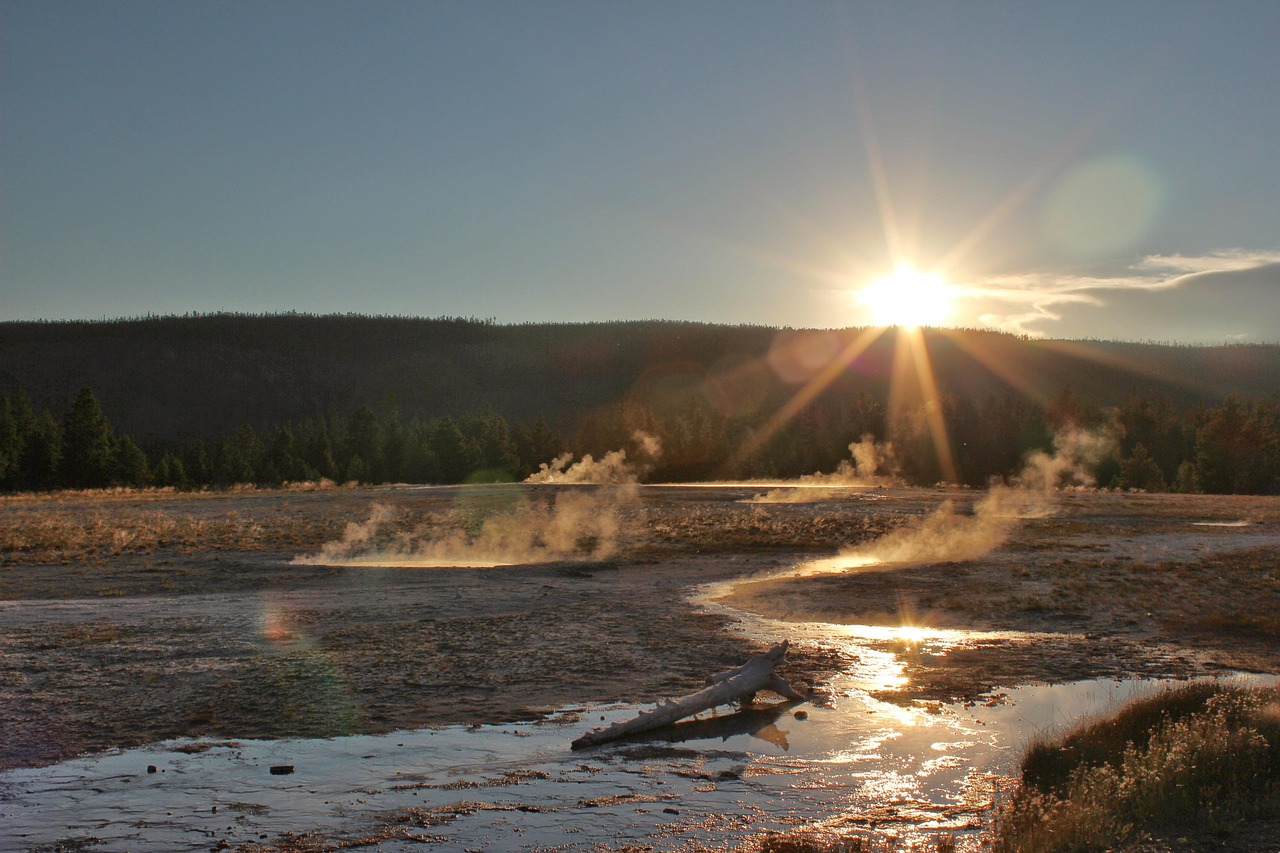 Yellowstone National Park Grass - Free photo on Pixabay - Pixabay