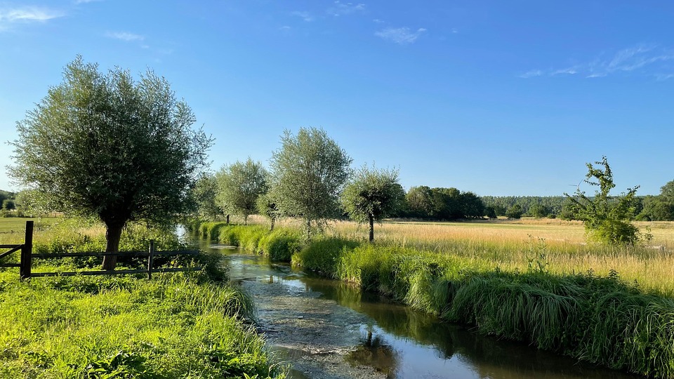 La Nature Ruisseau L'Eau - Photo gratuite sur Pixabay - Pixabay