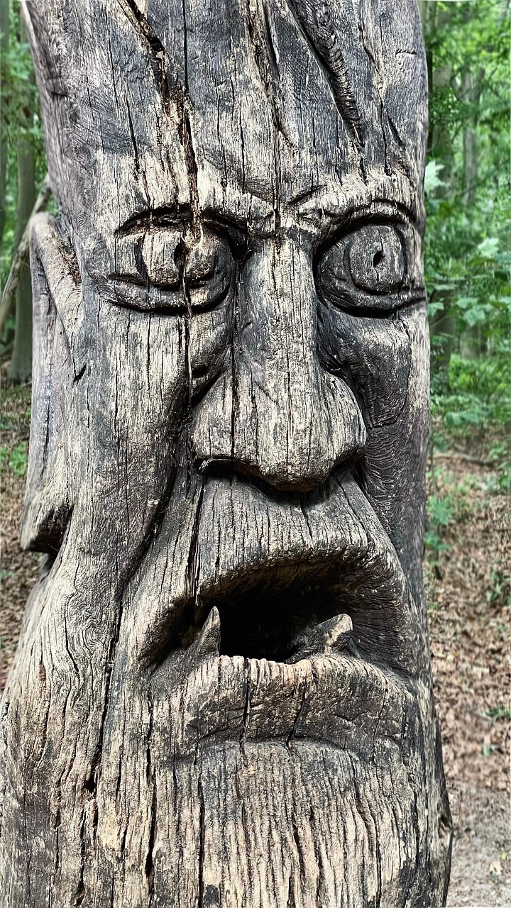 Bois Tronc D'Arbre À Sculpter - Photo gratuite sur Pixabay - Pixabay