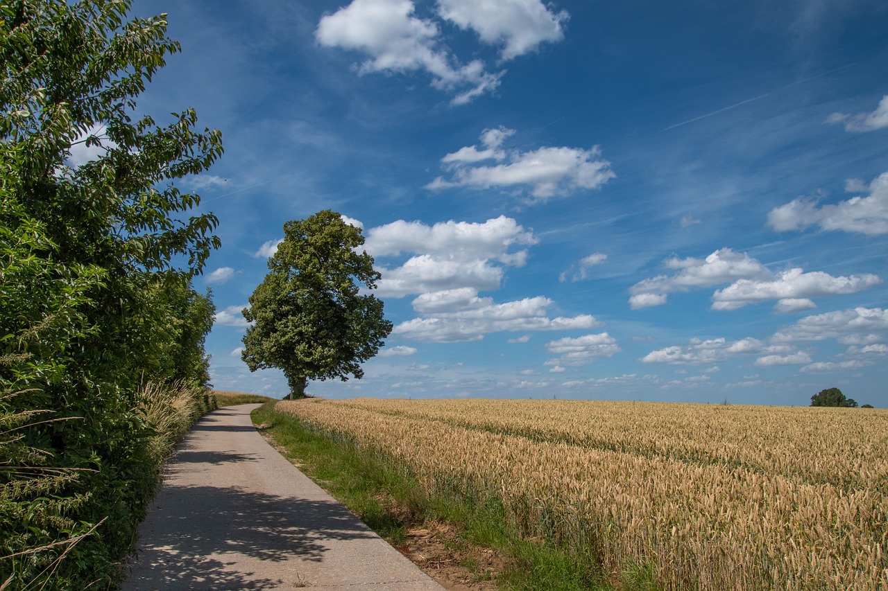 Landschap Korenveld Platteland - Gratis foto op Pixabay