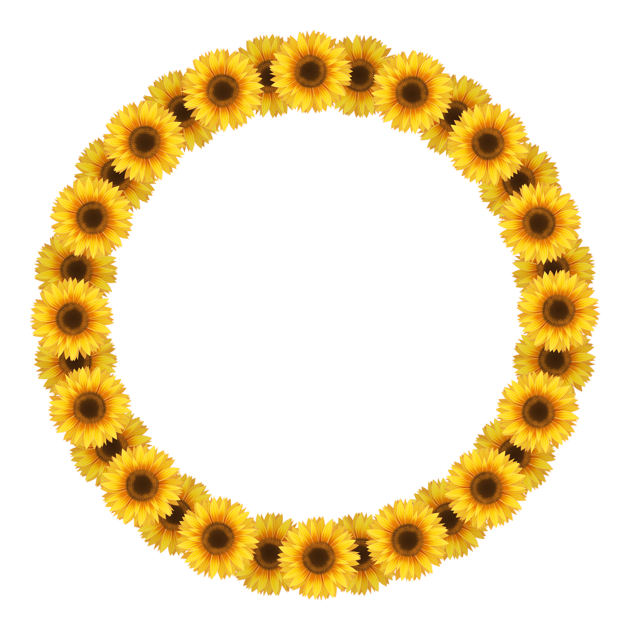 Sunflower Circle Border Png Sunflower Circle Border Png