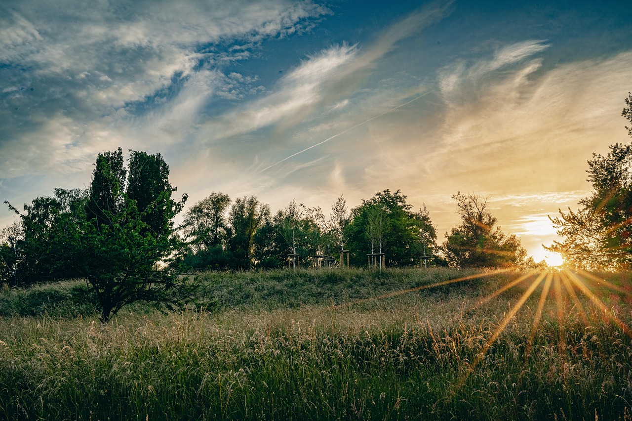 Le Coucher Du Soleil Nature - Photo gratuite sur Pixabay - Pixabay