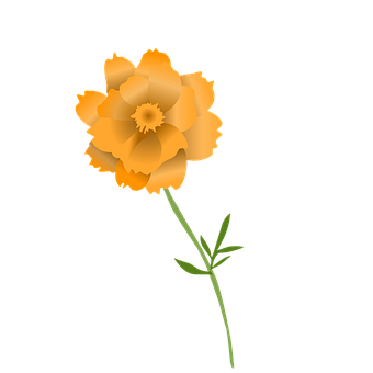 40+ kostnadsfria bilder med Tecknade Blommor Clipart och Clipart - Pixabay