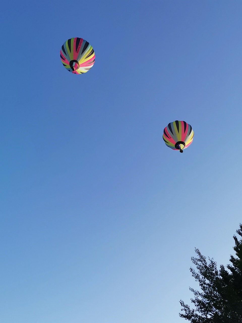 Summer Heaven Hot Air Balloon Ride - Free photo on Pixabay - Pixabay