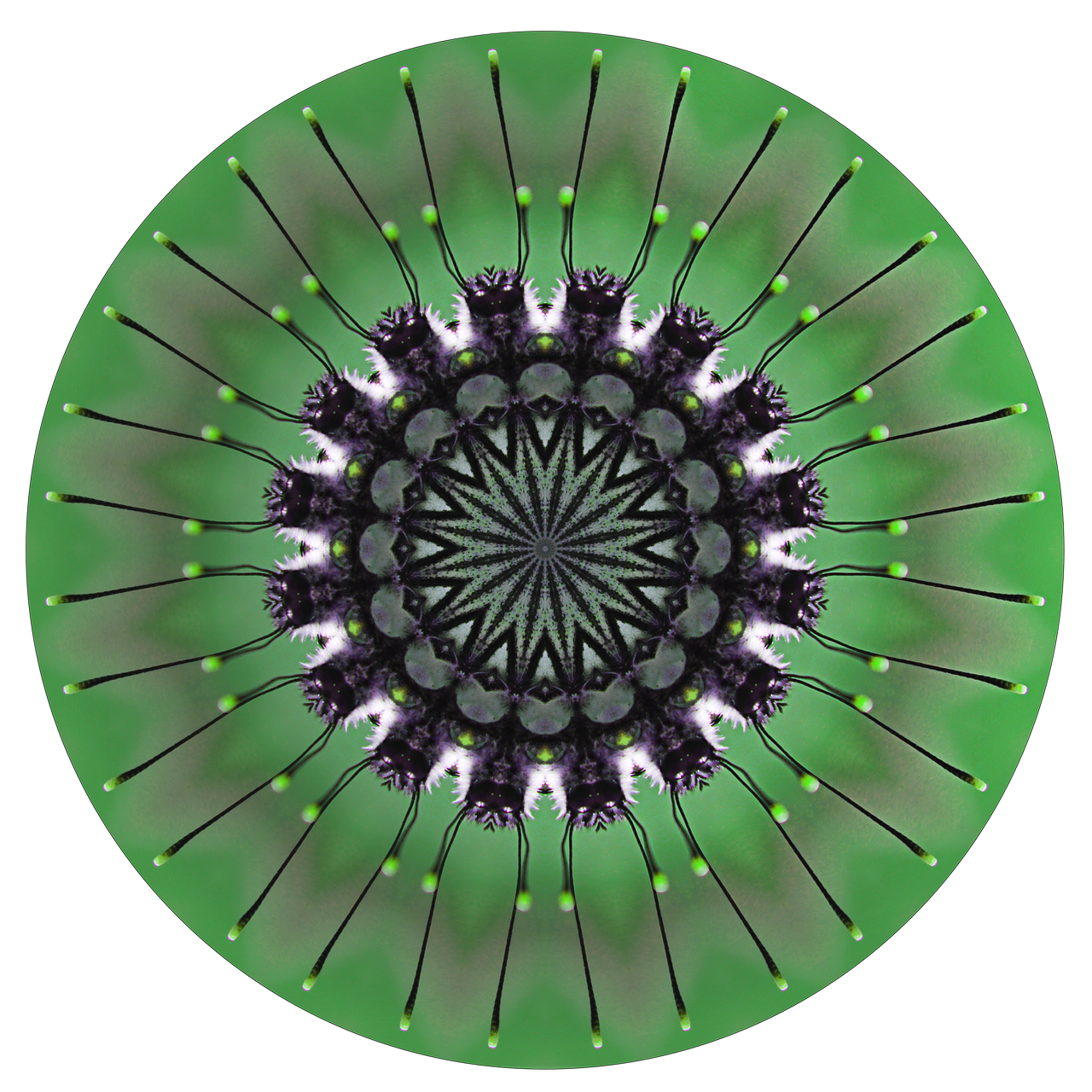 Download Rosette, Decorative, Ornament. Royalty-Free Stock Illustration ...