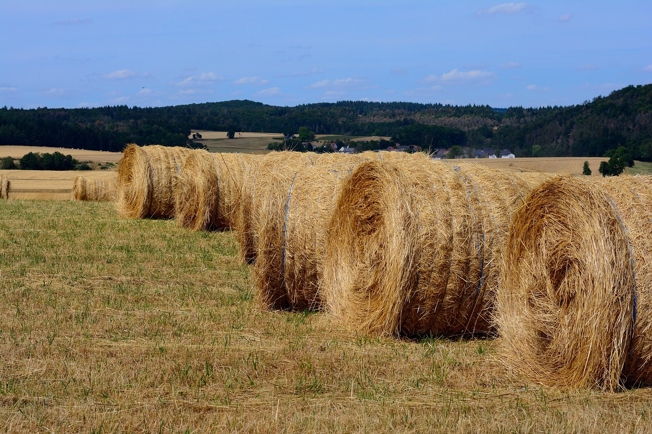 Hay Bales Field Stubble - Free photo on Pixabay - Pixabay
