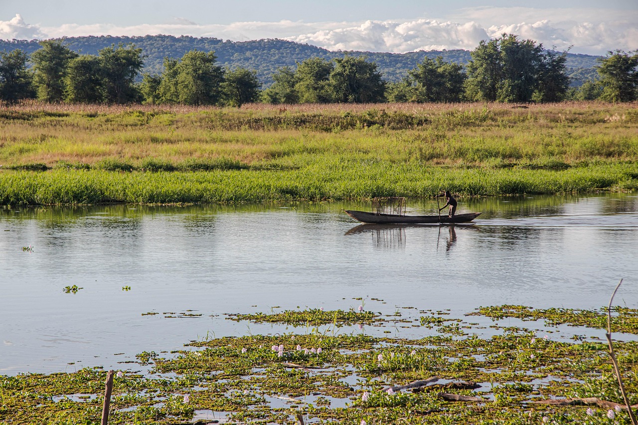 100+ Free Zambia & Nature Images - Pixabay