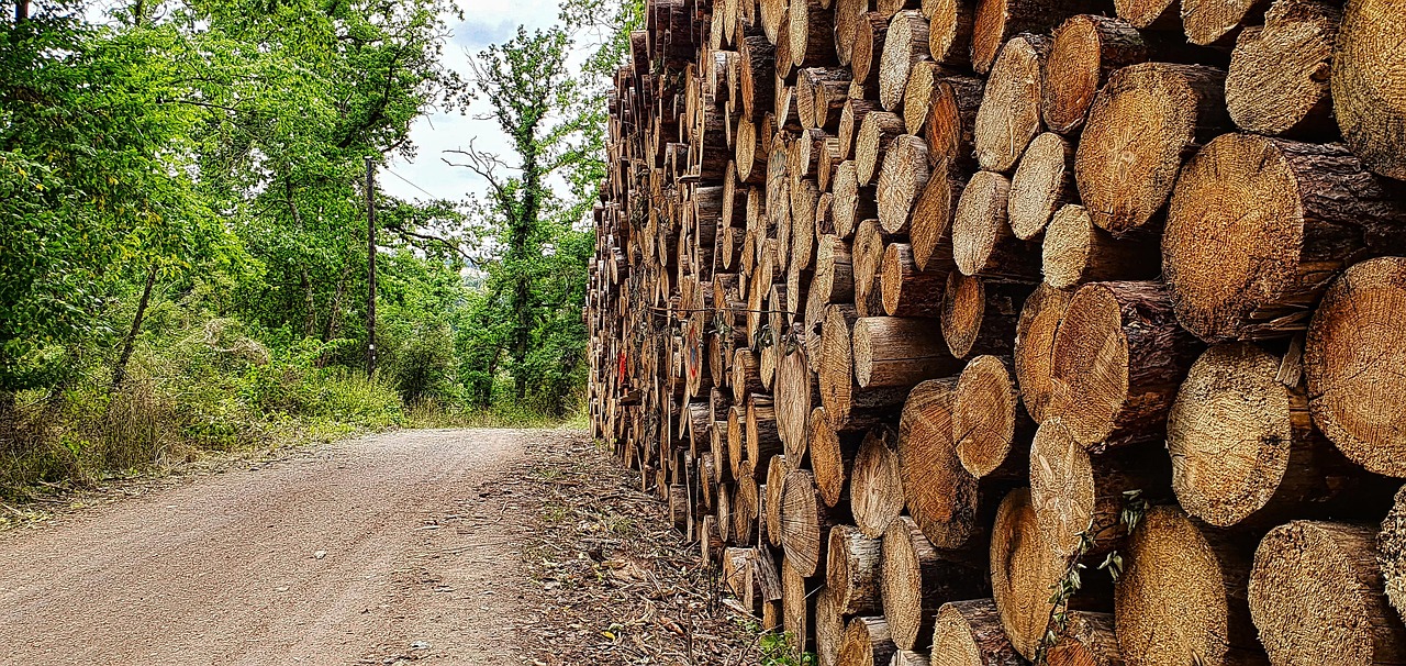 Holzstapel Brennholz Wald - Kostenloses Foto auf Pixabay - Pixabay