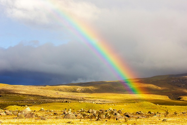 Plus De 40 000 Photos Gratuites De Arc En Ciel Et De Arc En Ciel Pixabay Plus De 40 000 Photos Gratuites De Arc En Ciel Et De Arc En Ciel Pixabay
