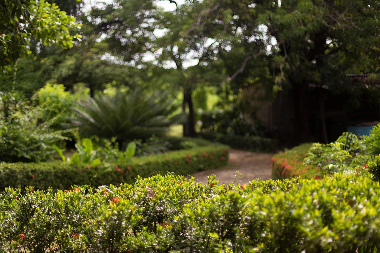 Garden Landscaped Park - Free photo on Pixabay