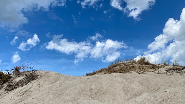 Wüste Sand Sommer - Kostenloses Foto auf Pixabay - Pixabay