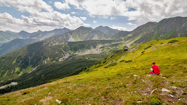 Tatry West Tatras Slovakia - Free photo on Pixabay - Pixabay