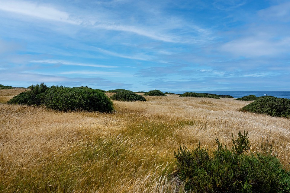 Côte Prairie Nature - Photo gratuite sur Pixabay - Pixabay