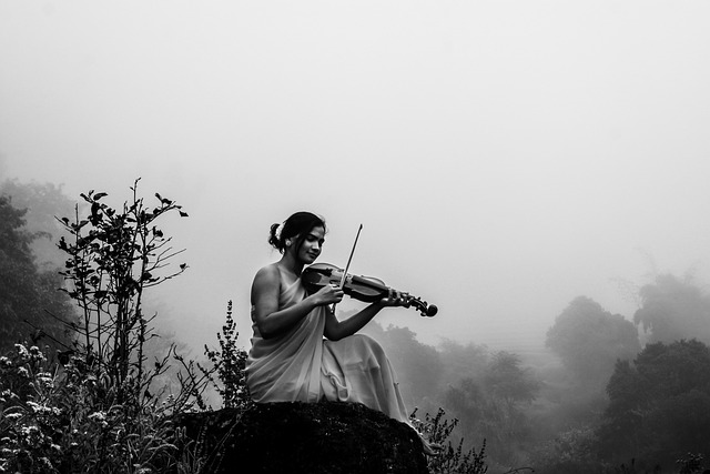 Frau Violine Musik - Kostenloses Foto auf Pixabay - Pixabay