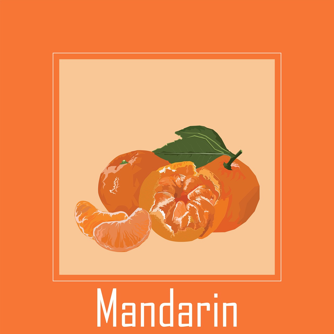Free Mandarin Alphabet Printable Charts Guide Download Free Printable Free Mandarin Alphabet Printable Charts Guide Download Free Printable