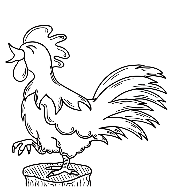 Ayam Kartun Induk Hewan - Gambar gratis di Pixabay - Pixabay