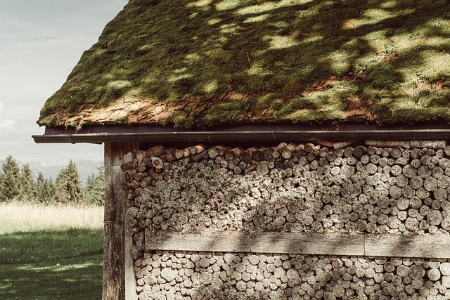 Cabane En Bois Cabine - Photo gratuite sur Pixabay - Pixabay