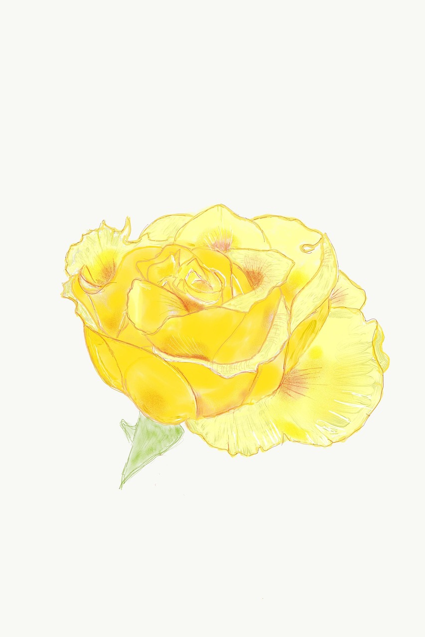 Kuning Bunga Mawar - Foto gratis di Pixabay - Pixabay