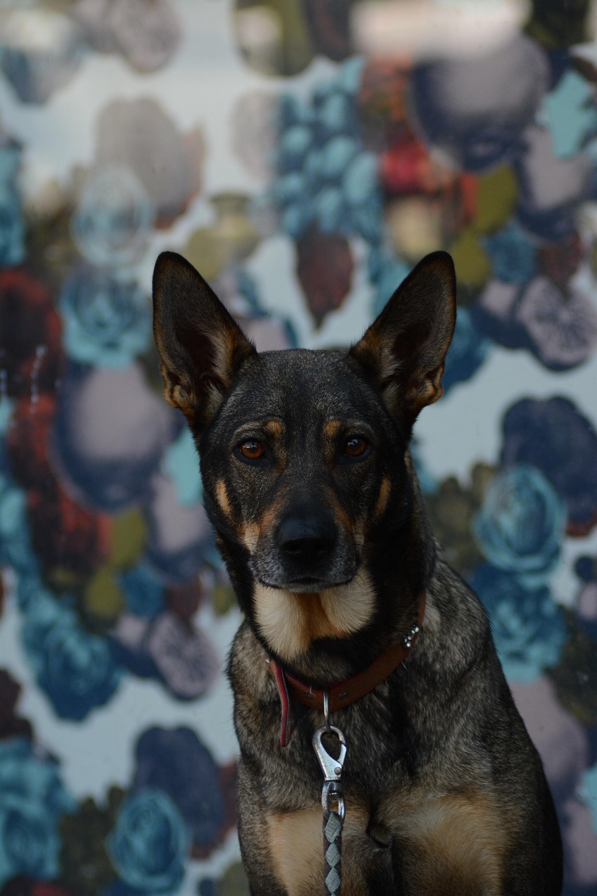 70+ Free Kelpies & Falkirk Images - Pixabay