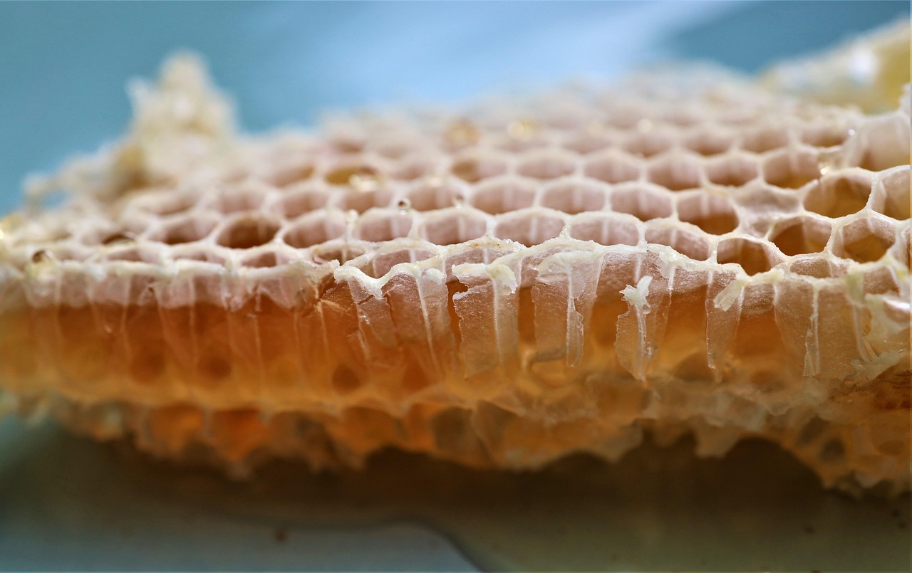 300,000+ Free Honeycomb Wallpaper & Honeycomb Images - Pixabay