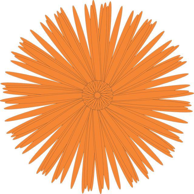Download Orange Flower Flower Geometric Pattern Royalty Free Stock Illustration Image Pixabay