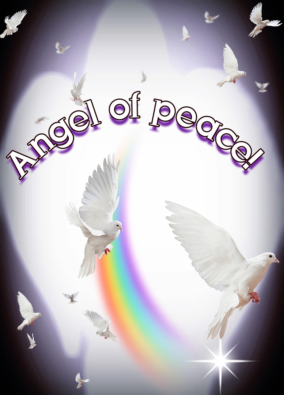Fishing Rod Angel Wings - Free photo on Pixabay - Pixabay