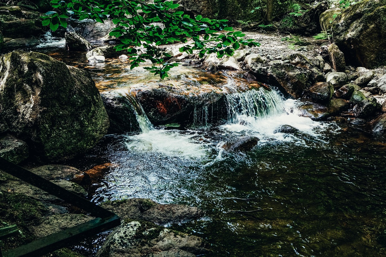 Water Stream Gallery Free Images : tree, nature, forest, waterfall ...