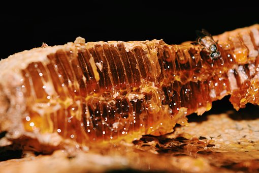 1+ Free Nepali Honey & Honey Images - Pixabay