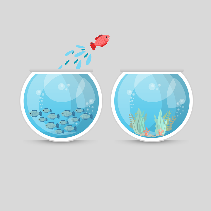 Download Difference, Differentiate, Delimitation. Royalty-Free Stock ...