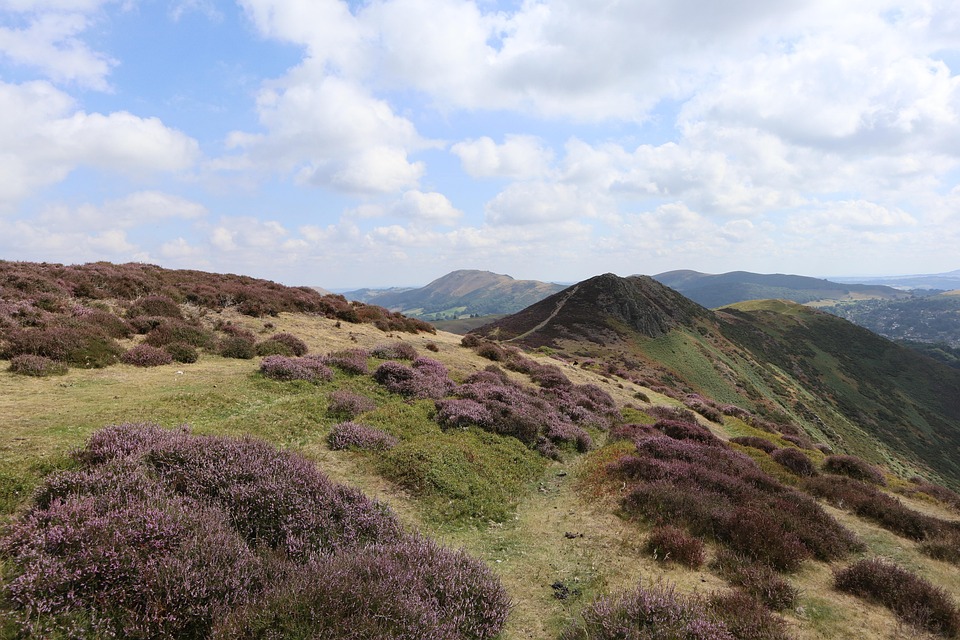 Long Mynd Shropshire - Ingyenes fotó a Pixabay-en - Pixabay