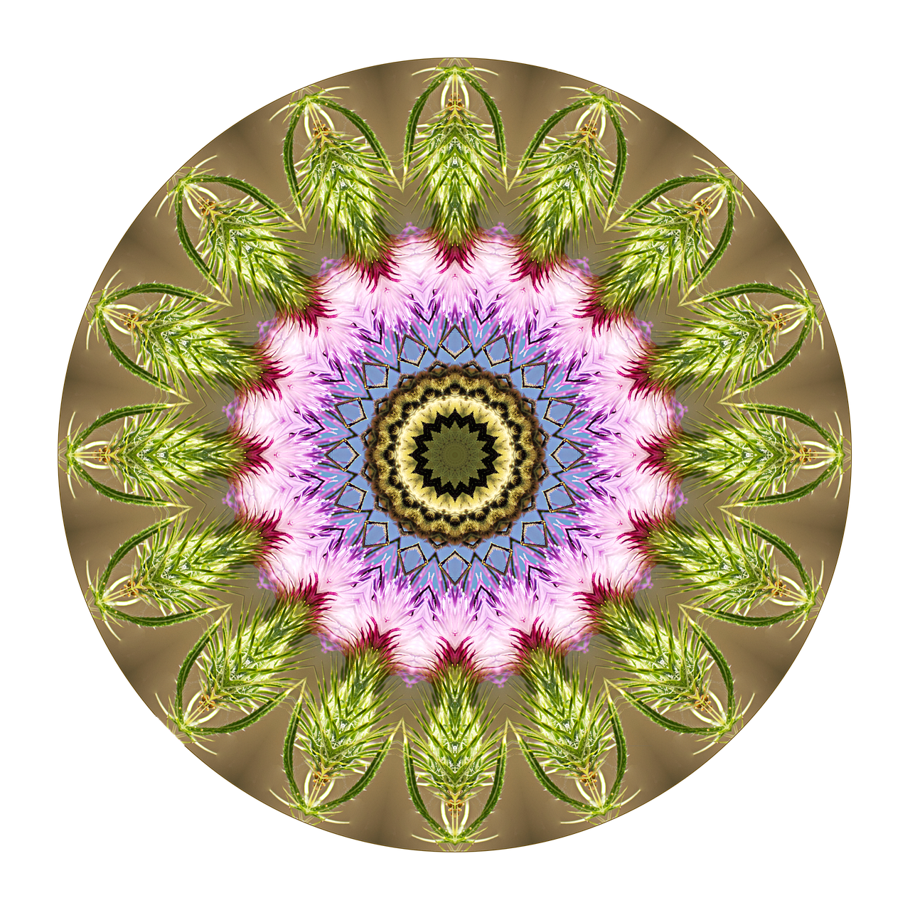 Download Rosette, Mandala, Circle. Royalty-Free Stock Illustration ...