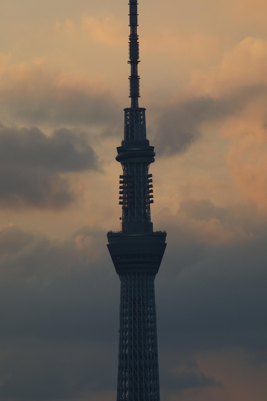 Arbre De Ciel Tokyo Soirée La - Photo gratuite sur Pixabay - Pixabay