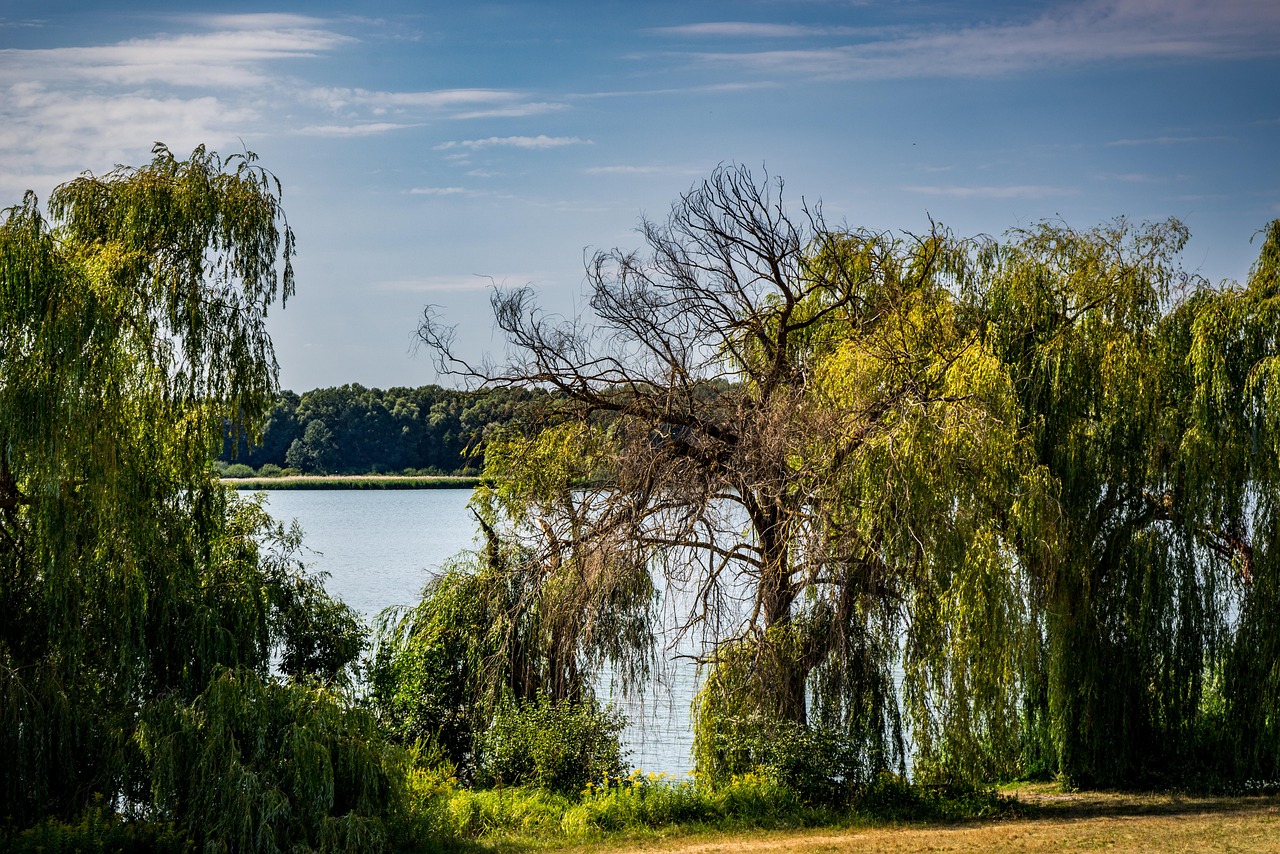 700+ kostenlose Balaton und See-Bilder - Pixabay