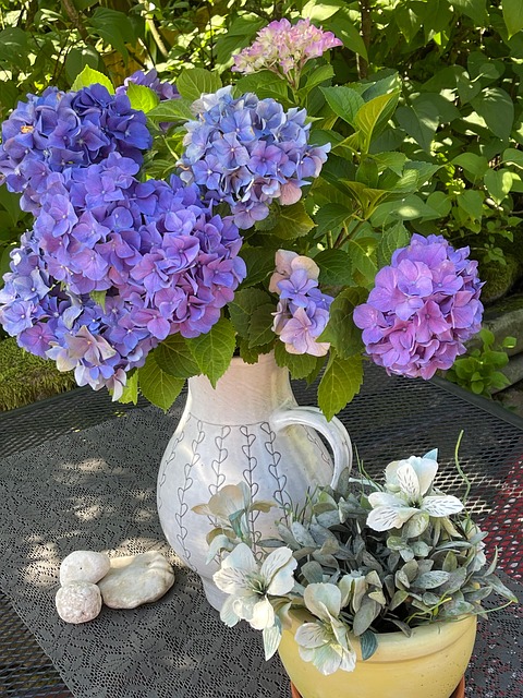 Blumen Hortensie Natur - Kostenloses Foto auf Pixabay - Pixabay
