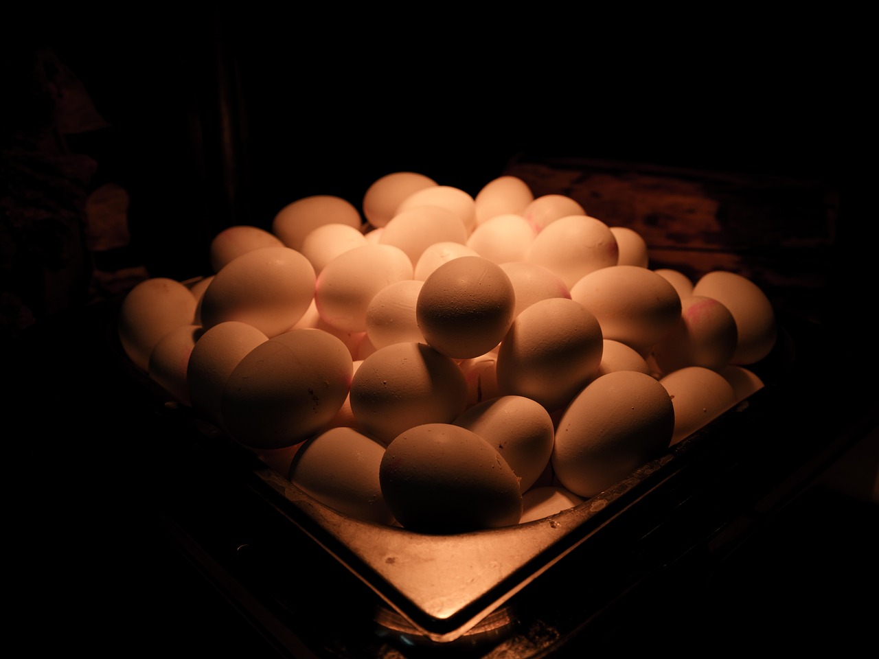 Telur Segar Ayam - Foto gratis di Pixabay - Pixabay