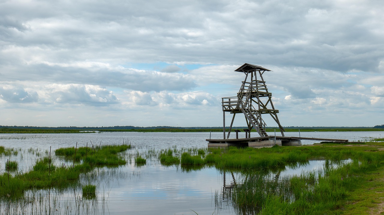 Lookout Tower Lake Wetland - Free photo on Pixabay - Pixabay