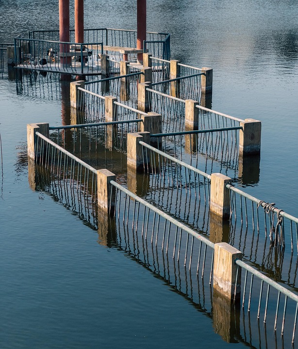 Lake Scenery Overwater Boardwalk - Free photo on Pixabay - Pixabay